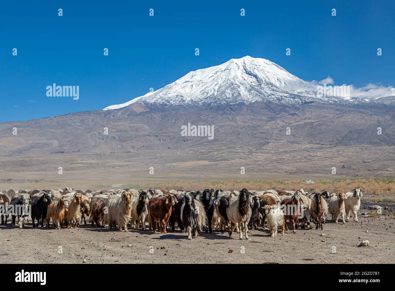 Climbing mount ararat hi-res stock photography and images - Alamy