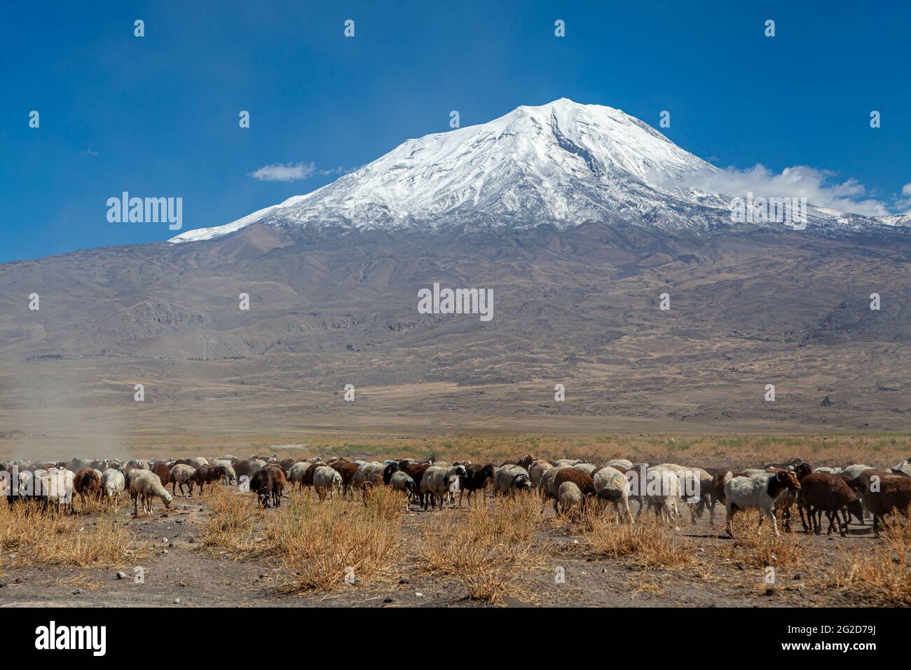 Climbing mount ararat hi-res stock photography and images - Alamy