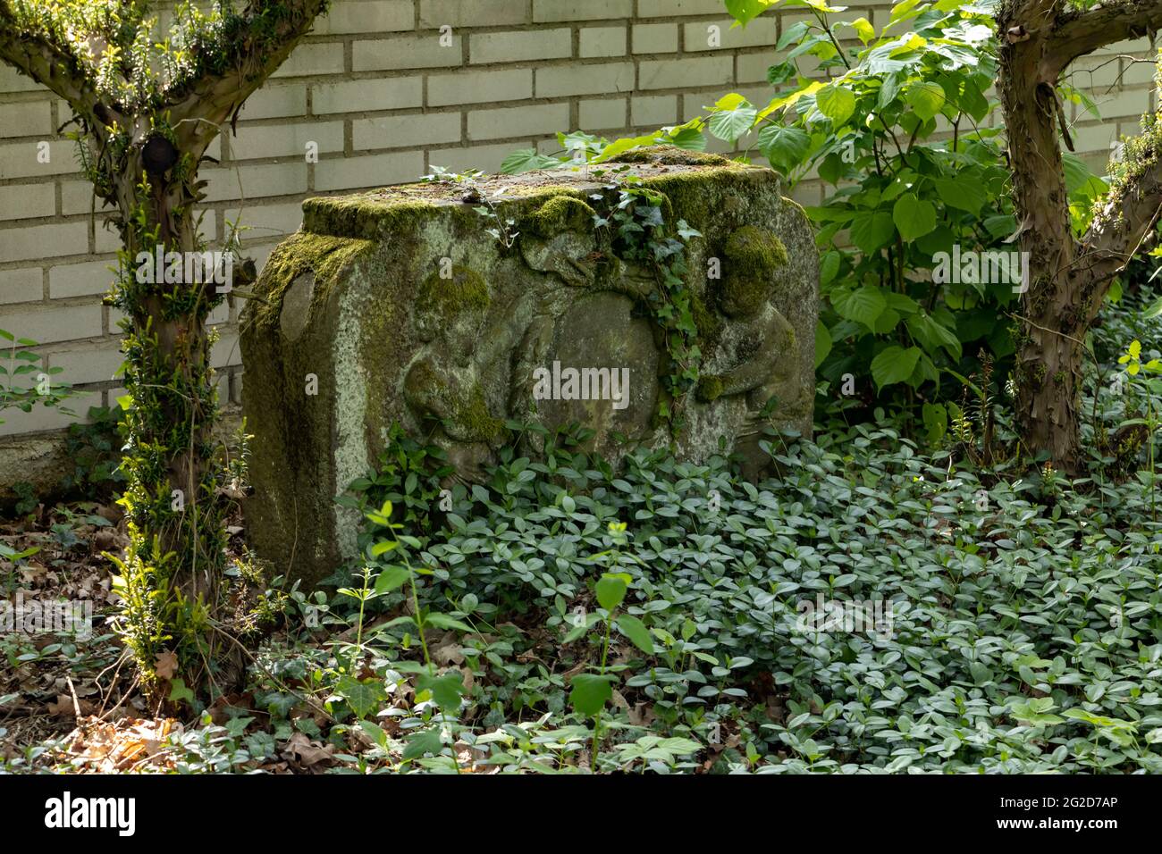 Overgrown grave hi-res stock photography and images - Alamy