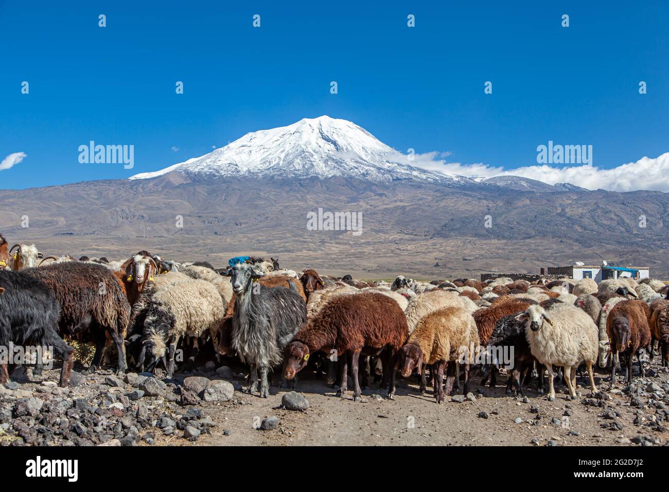 Climbing mount ararat hi-res stock photography and images - Alamy