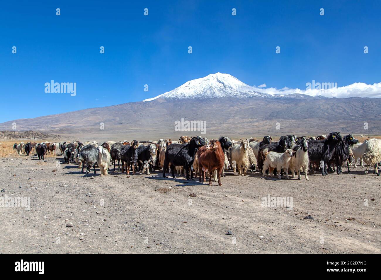Mount ararat climbing hi-res stock photography and images - Alamy