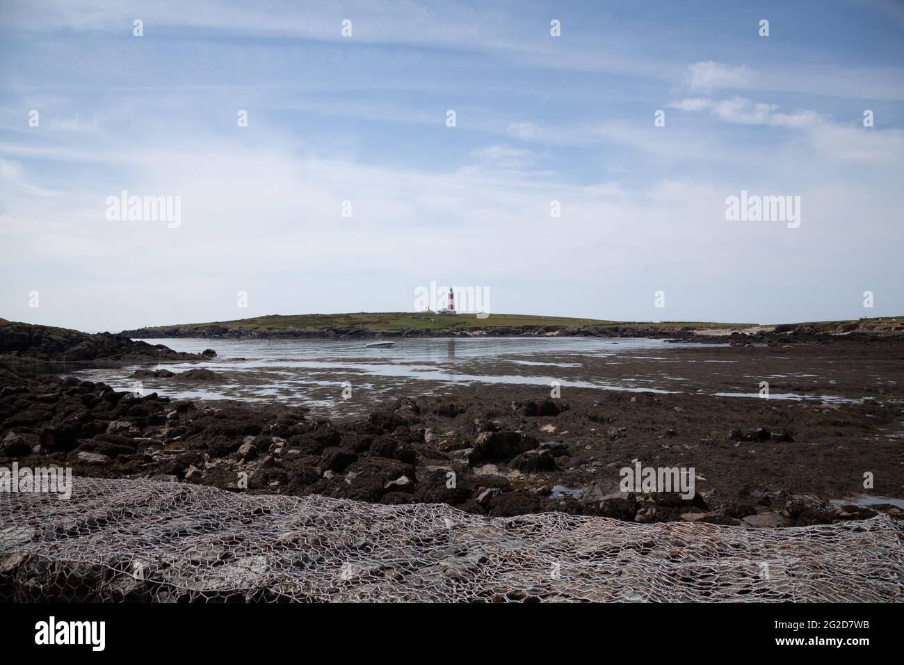View from Ynys Enlli / Bardsey Island harbour over gabion basket stone ...