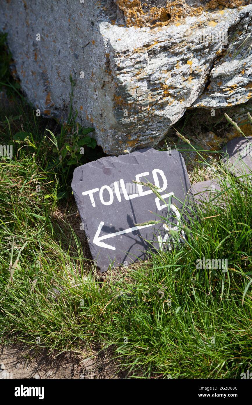 Welsh Toilet High Resolution Stock Photography and Images - Alamy