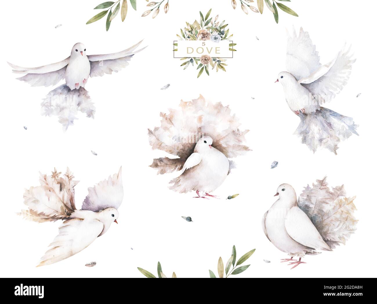 pigeons watercolor, set of flying birds Stock Photo - Alamy