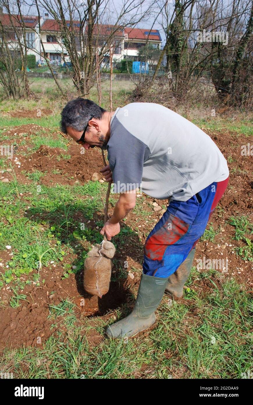 Farmer Planting Trees High Resolution Stock Photography and Images - Alamy