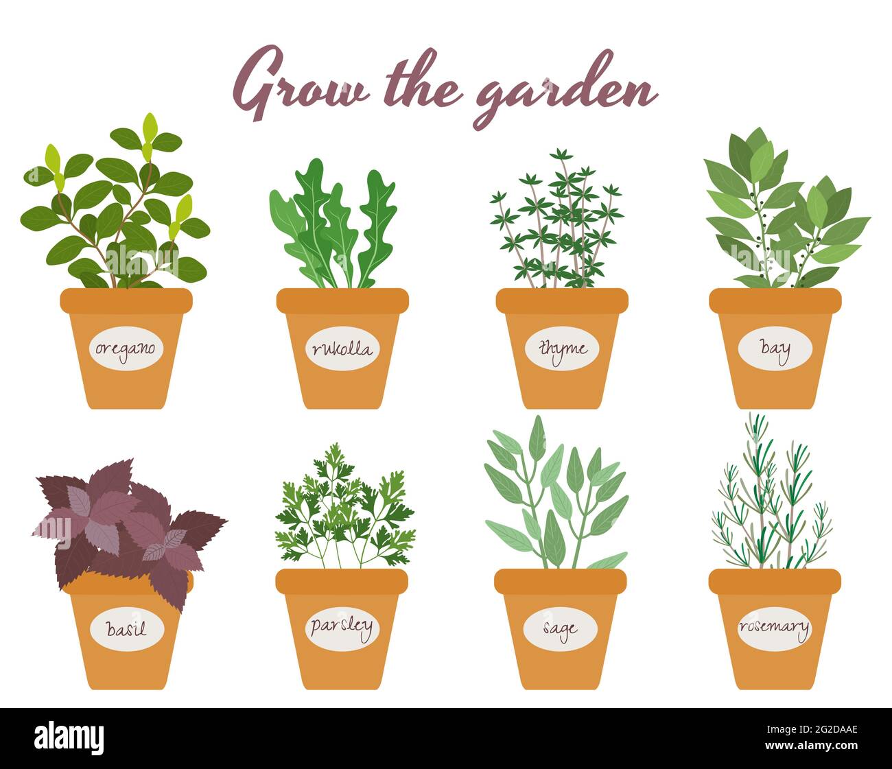 Herbs In Pots Growing Stock Vector Images - Alamy