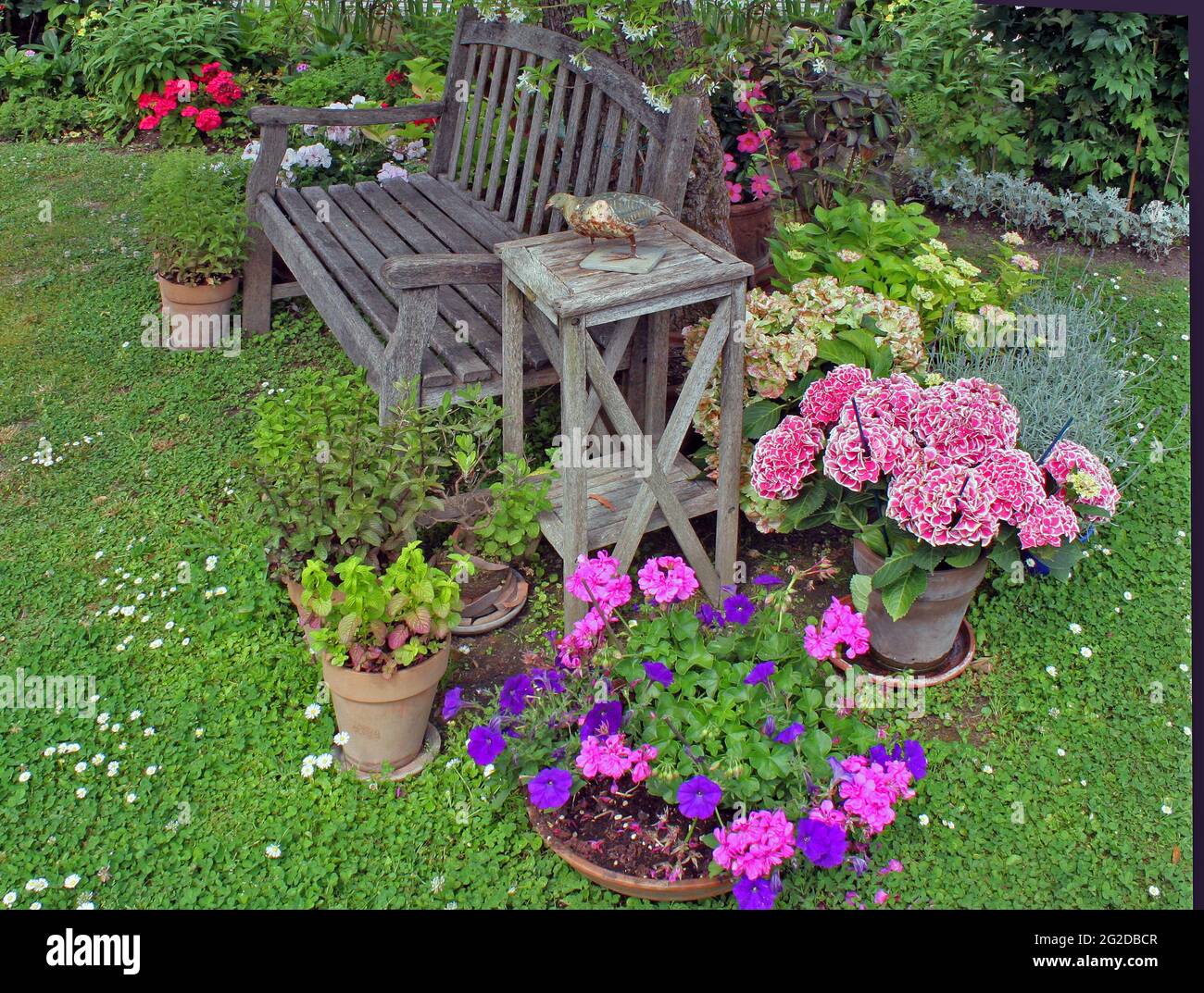 the garden in June Stock Photo - Alamy