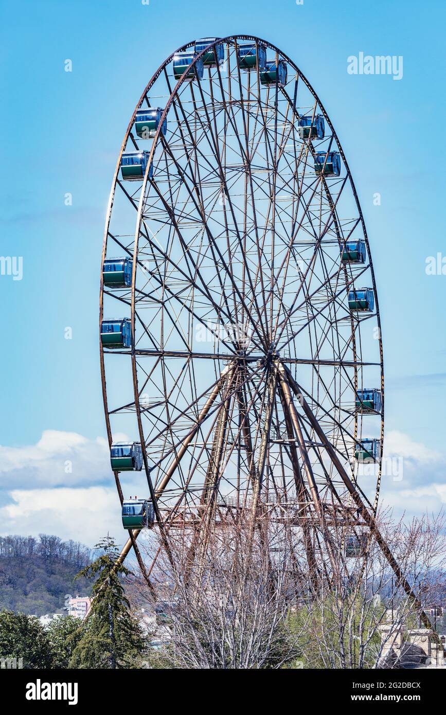Observation wheel in the city central park Stock Photo - Alamy