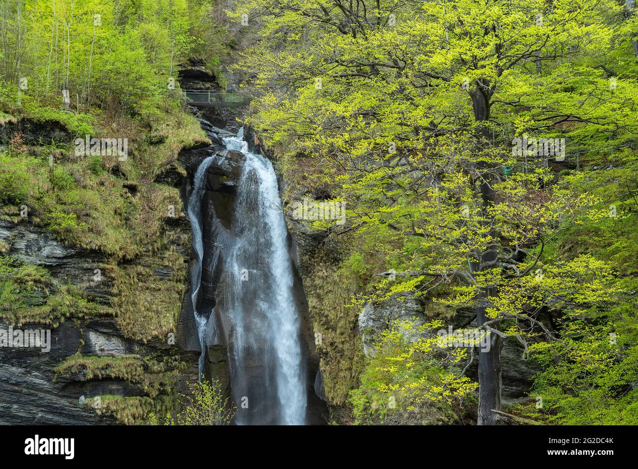 Reichenbach Falls waterfall in Switzerland Stock Photo - Alamy