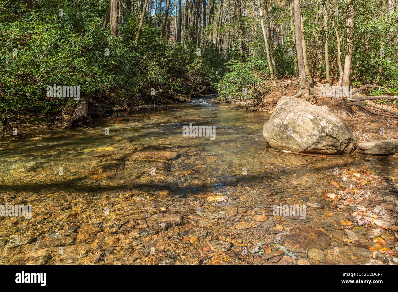Scenic view of a shallow river with the sunlight highlighting the rocks ...