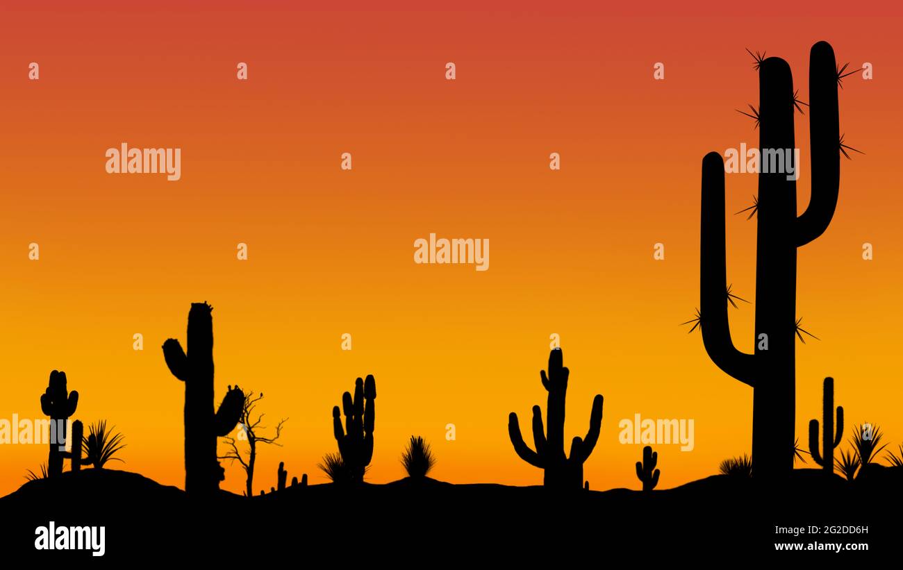 Silhouettes of different cacti at sunset with a cloudless sky in the ...