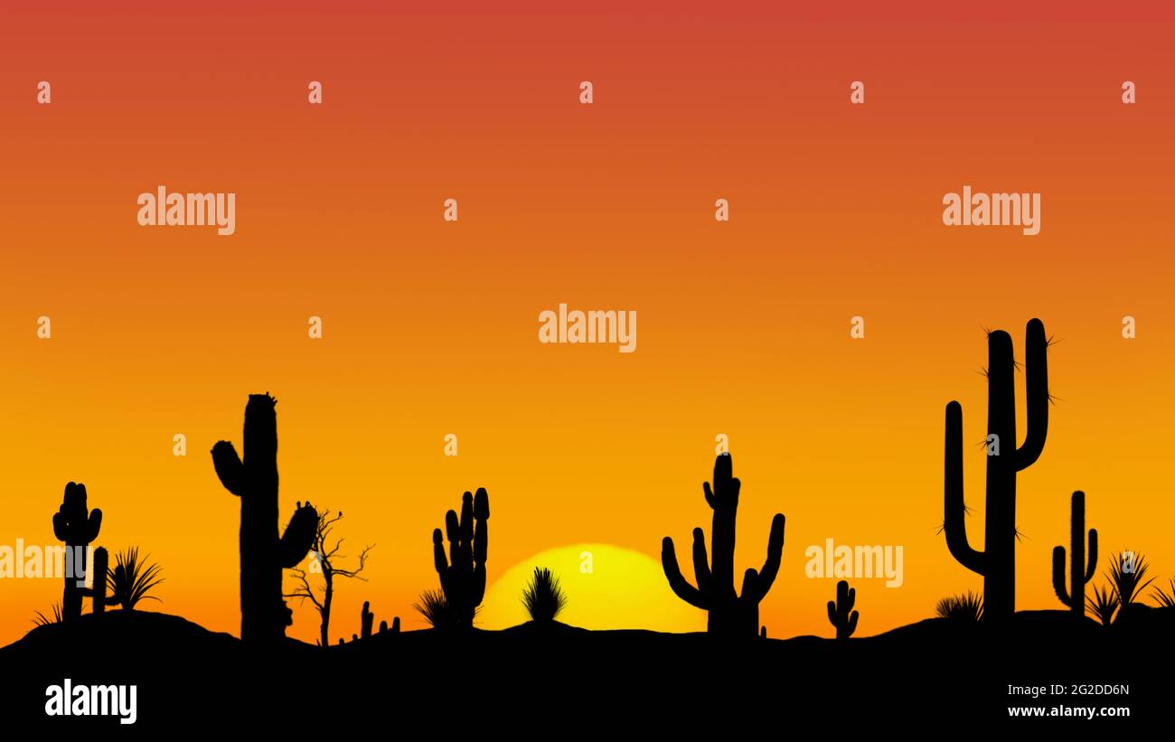 Phoenix skyline and cactus hi-res stock photography and images - Alamy