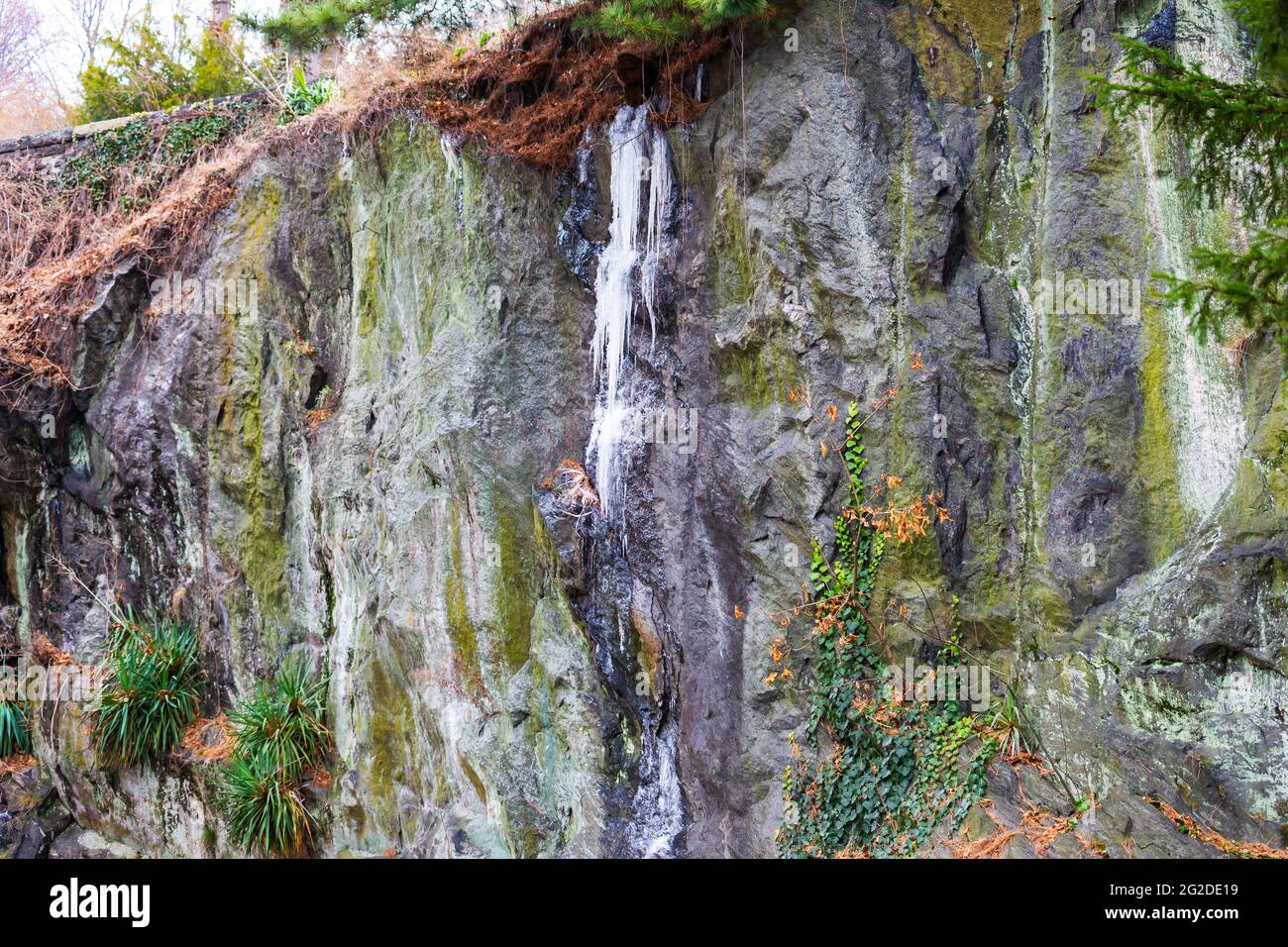 Frozen cliff face, Fort Tryon Park, New York, USA Stock Photo - Alamy