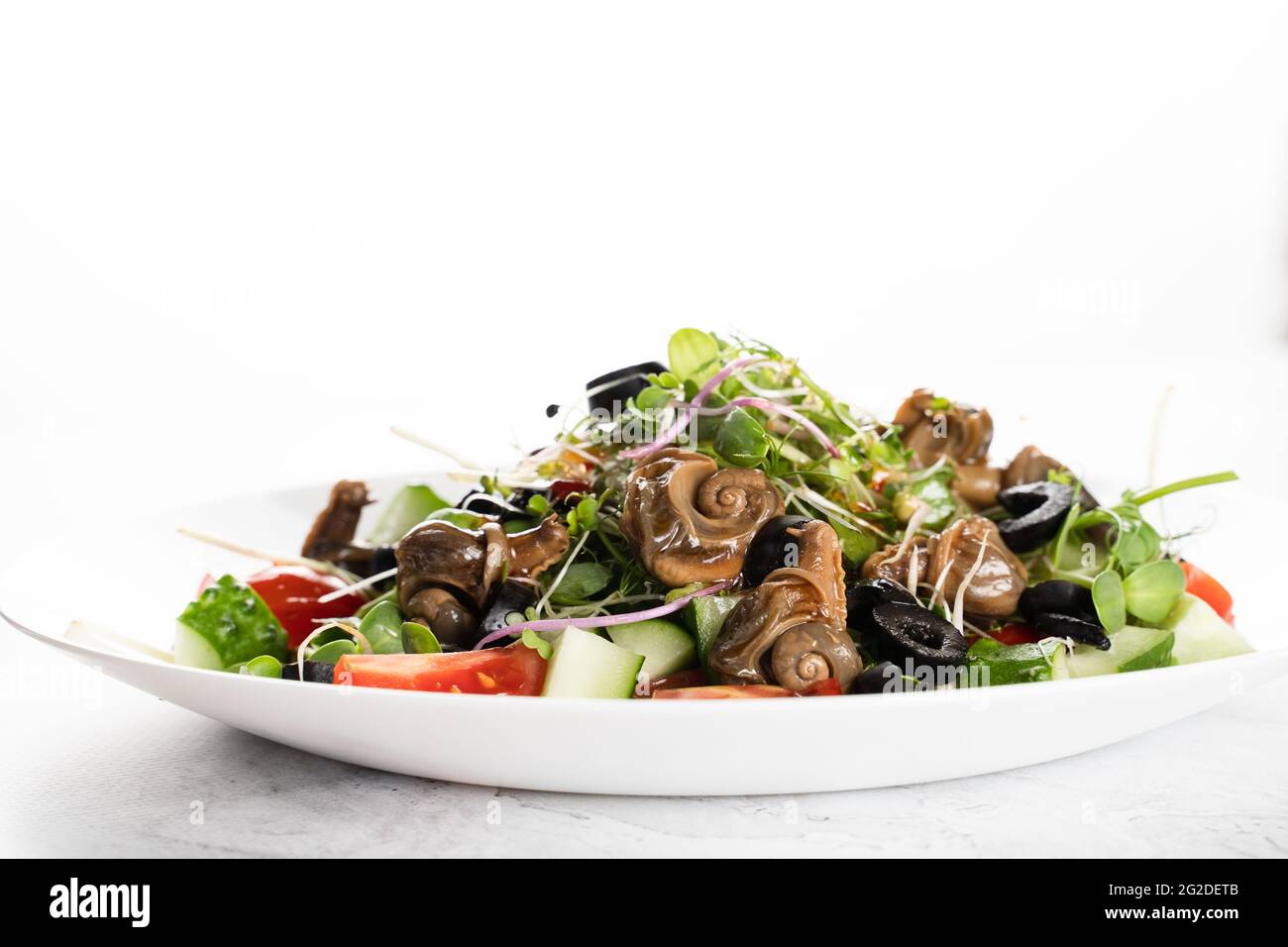 Green salad with snails on white background. French gourmet cuisine ...