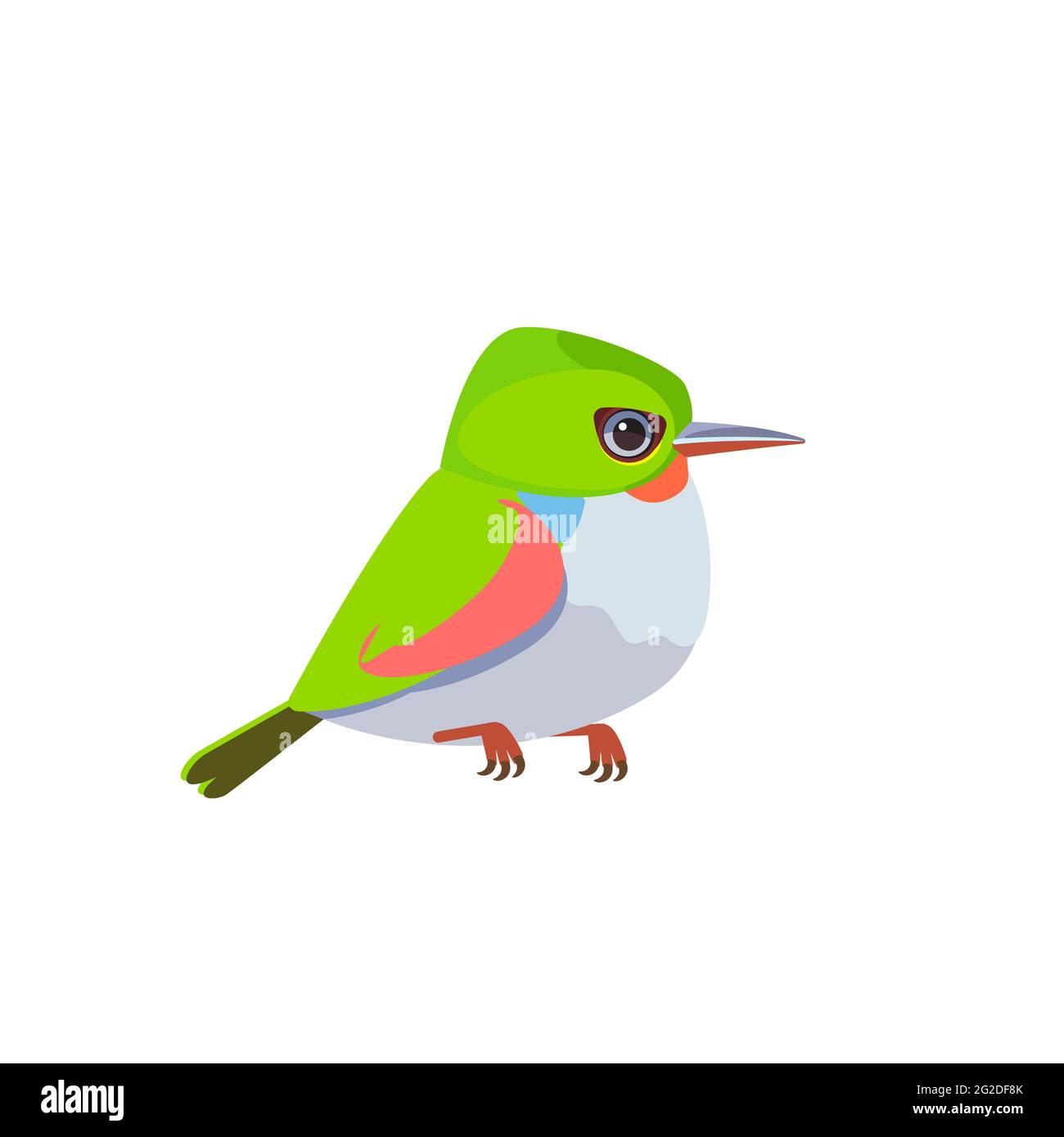 Endemic passerine Stock Vector Images - Alamy