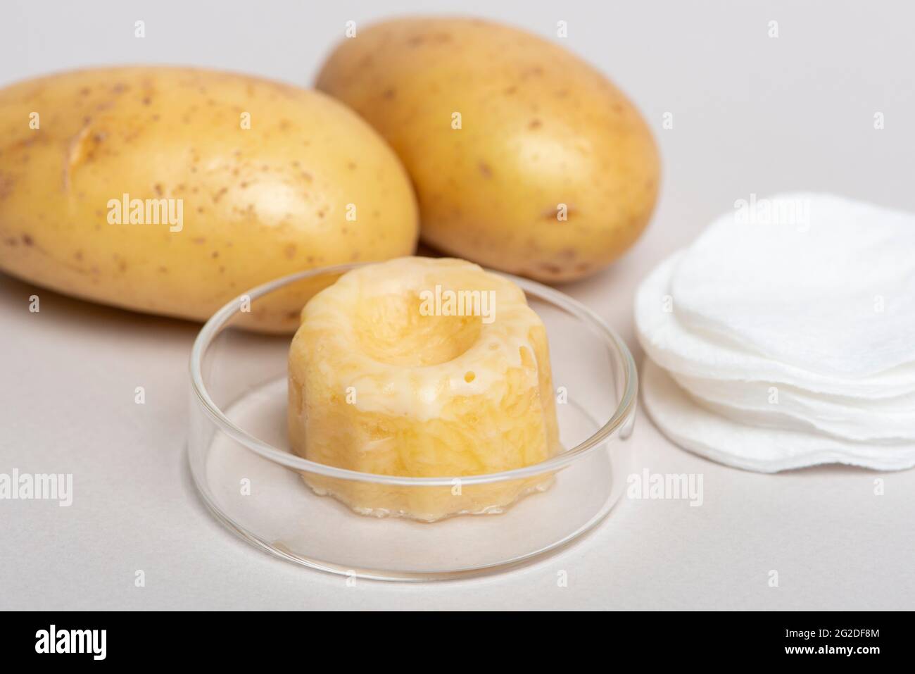 Potatoes beauty ice cubes close up. Homemade skin care product. DIY ...