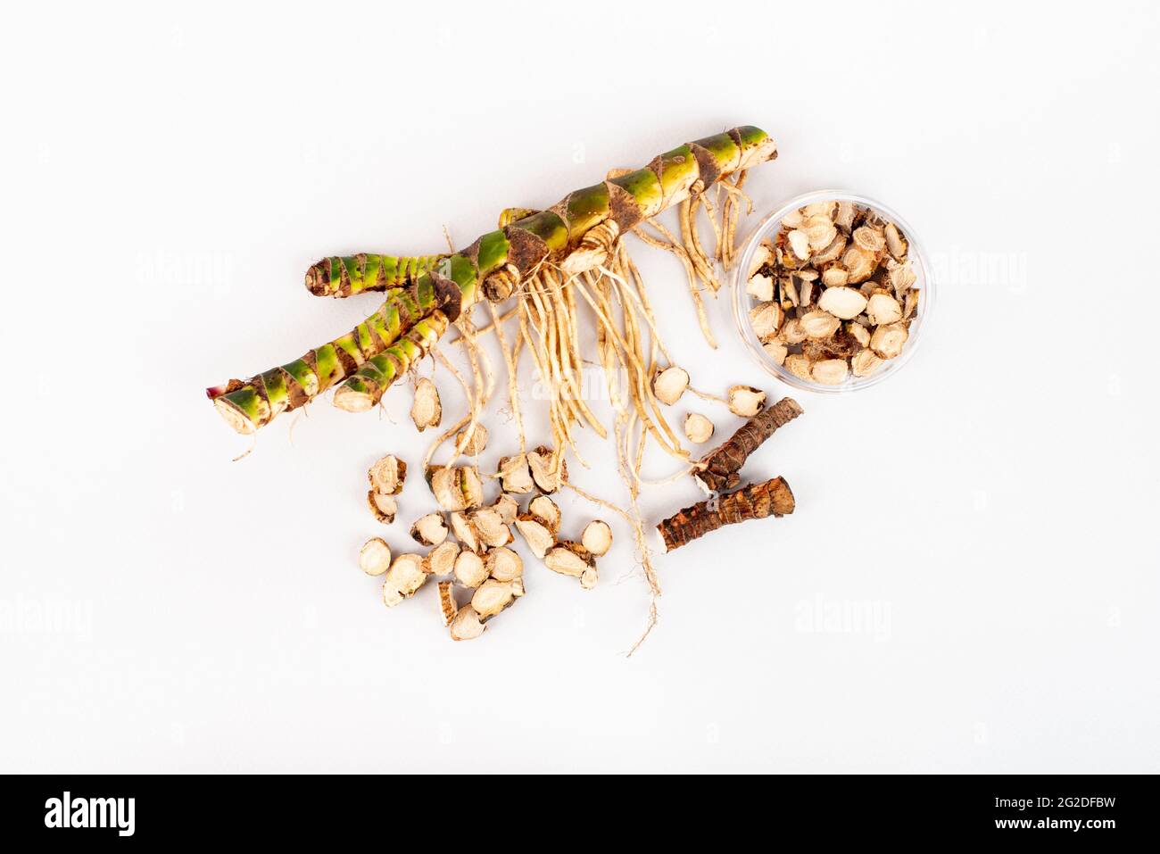 Fresh and dried Acorus calamus roots, also known as sweet flag ...