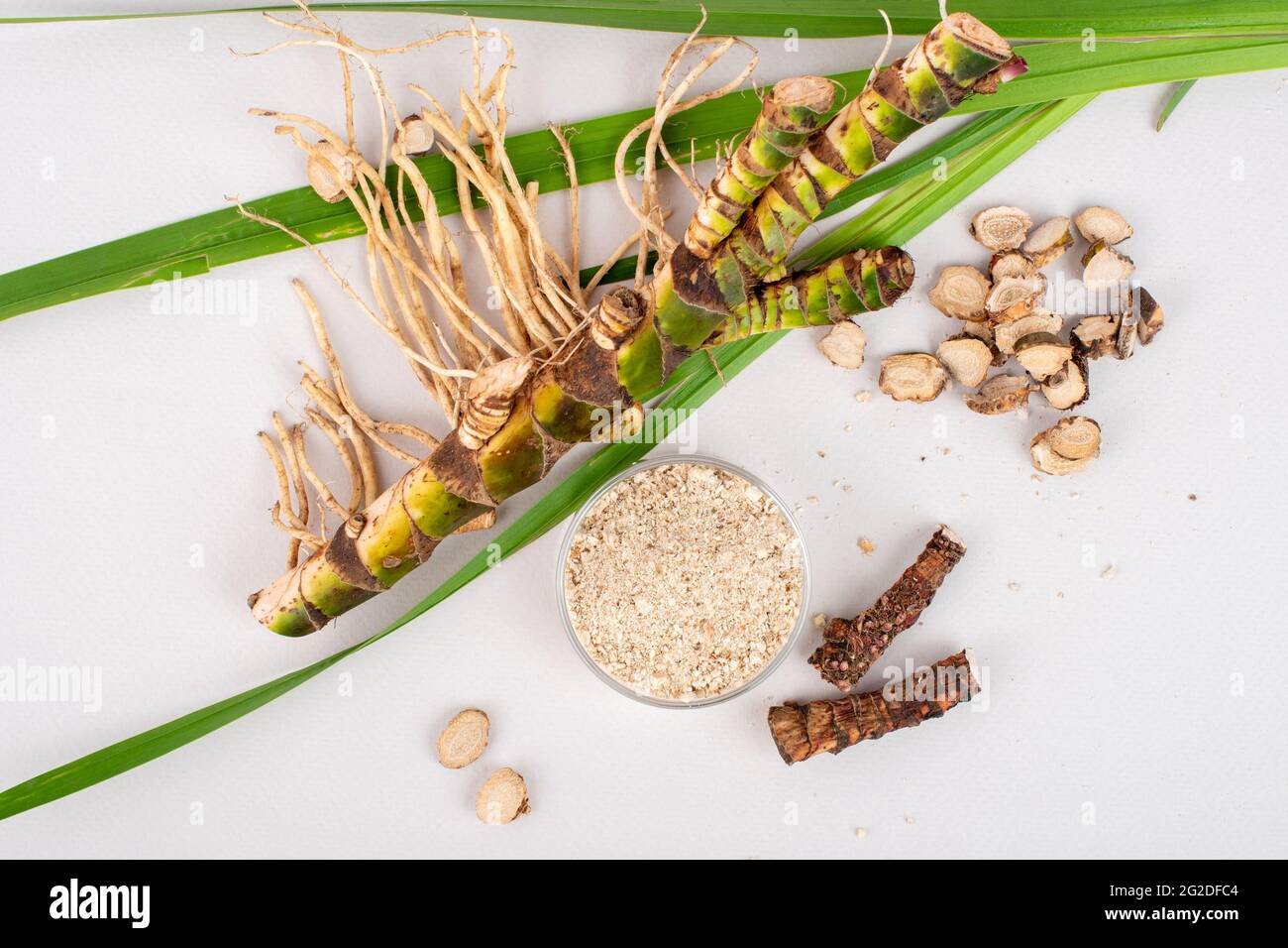 Fresh and dried Acorus calamus roots, also known as sweet flag, calamus ...
