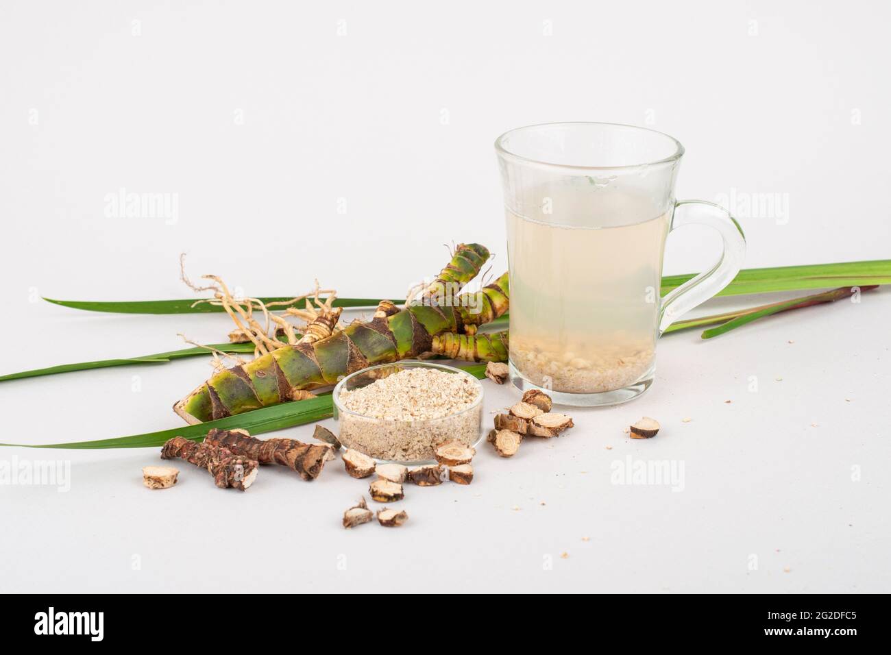 Fresh and dried Acorus calamus roots, also known as sweet flag, calamus ...