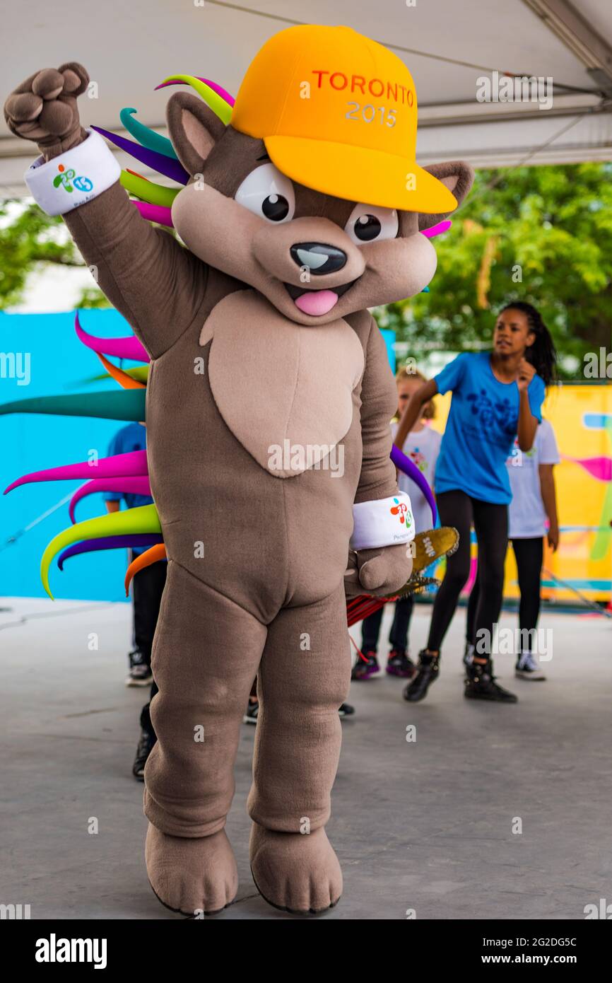 Pachi the Porcupine, Mascot of 2015 Pan Am & Parapan Am Games, Toronto ...