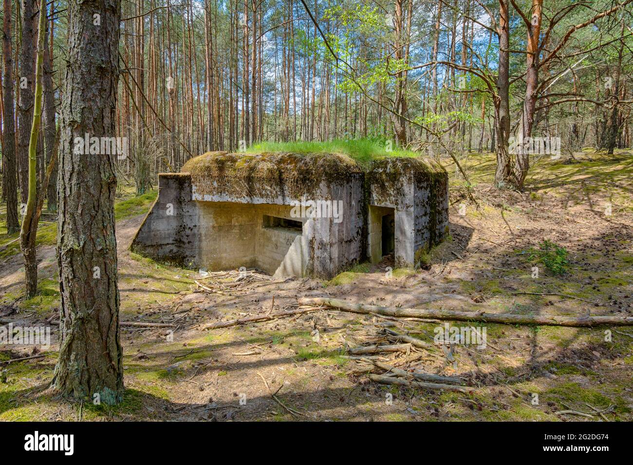 Polish defensive bunker from 1939 Stock Photo - Alamy