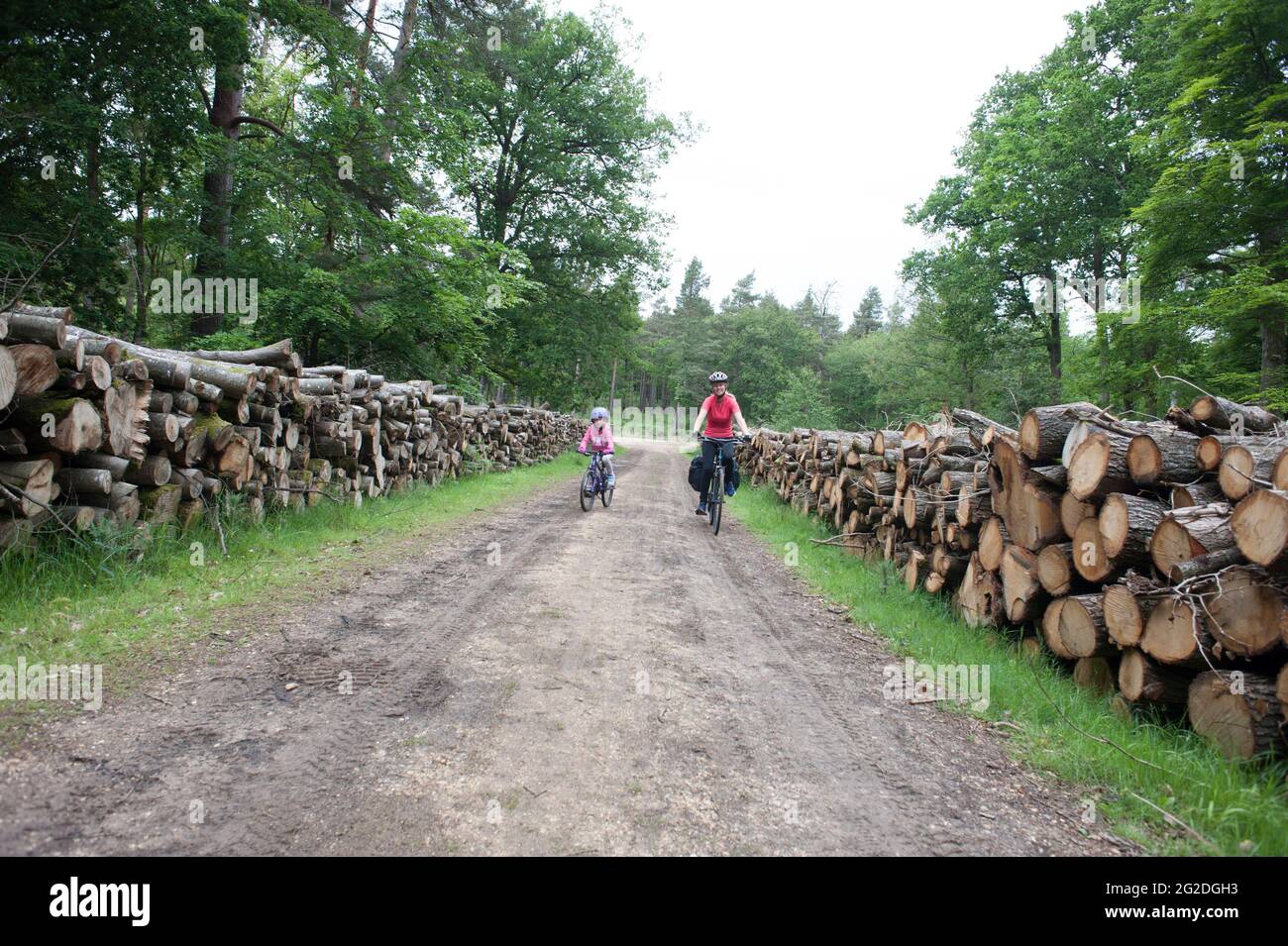 Riding a bike through the New Forest on cycle paths past stacks of ...