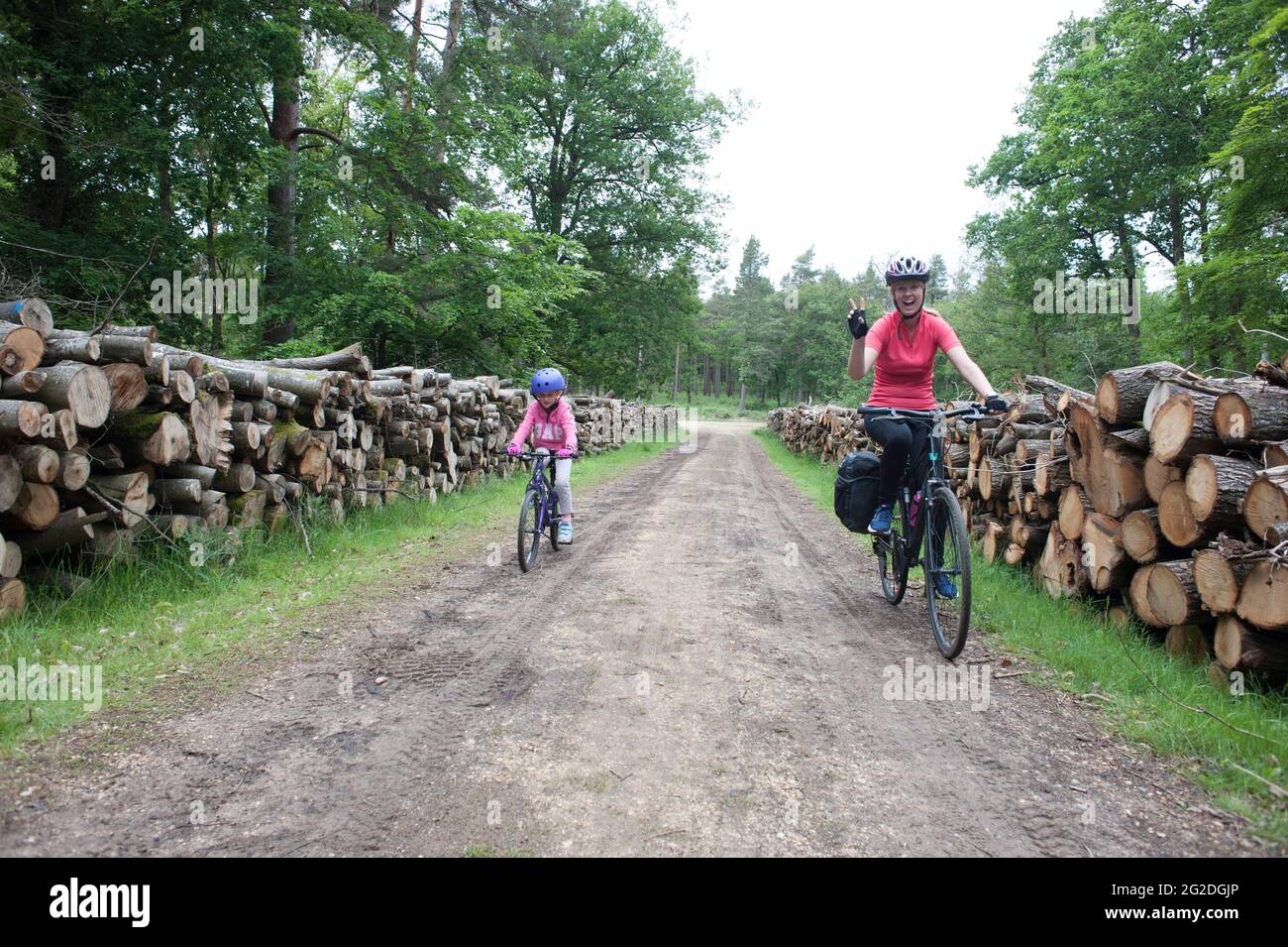Riding a bike through the New Forest on cycle paths past stacks of ...