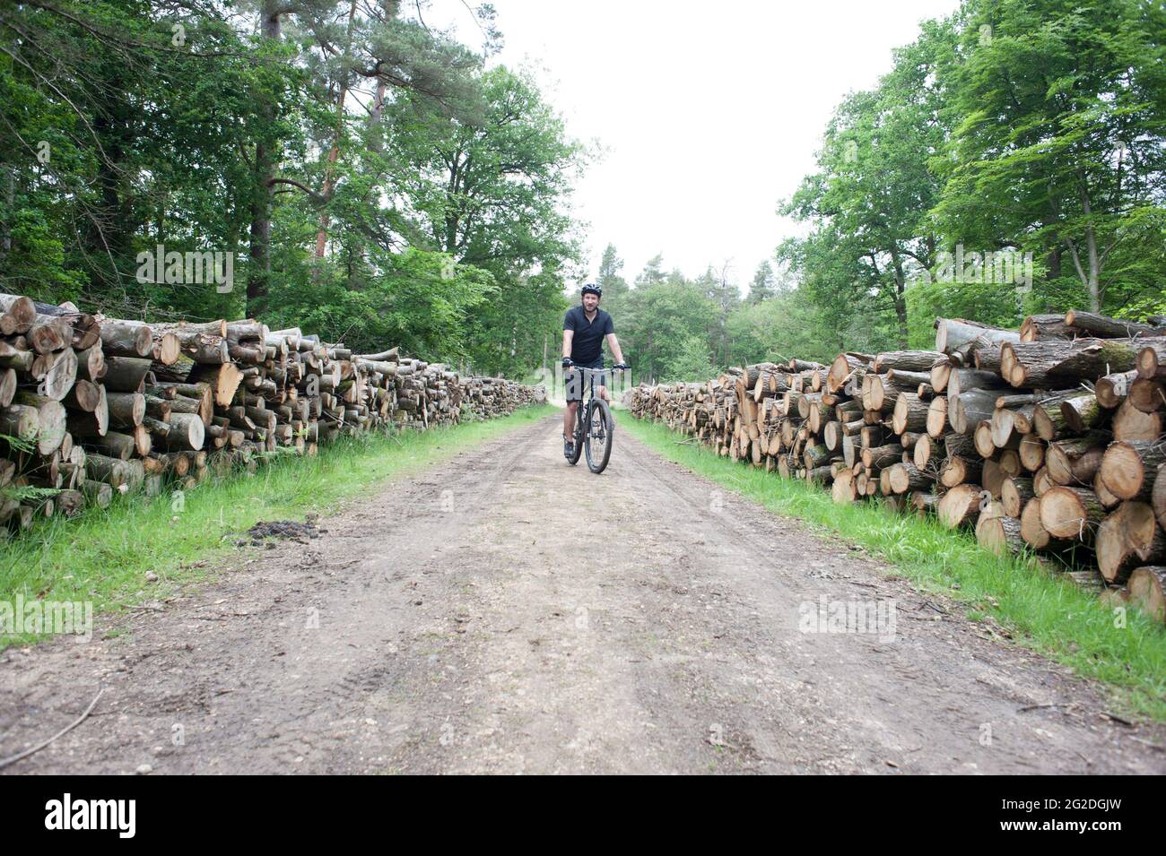 New forest cycle family hi-res stock photography and images - Alamy