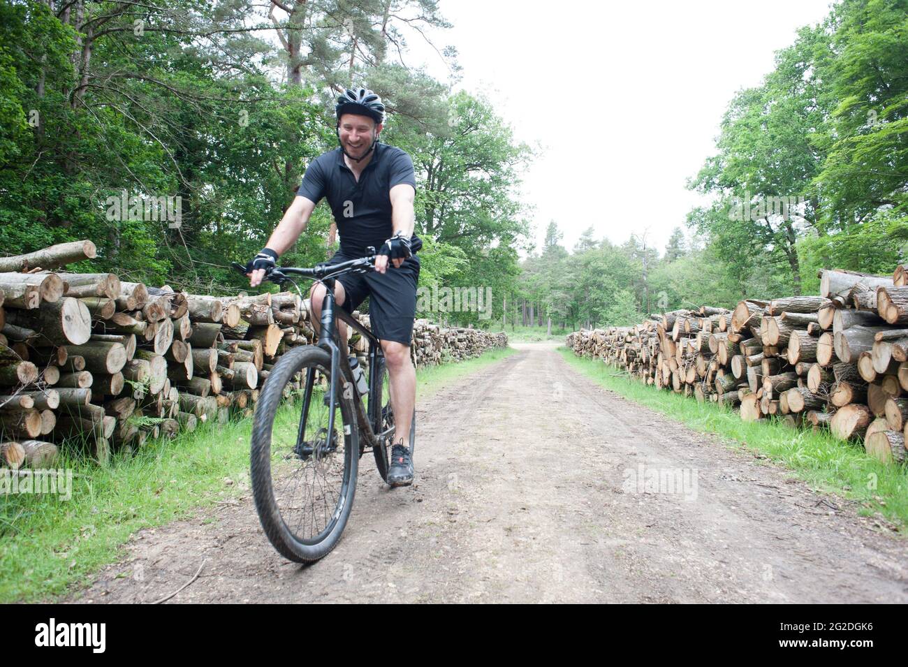 Riding a bike through the New Forest on cycle paths past stacks of ...