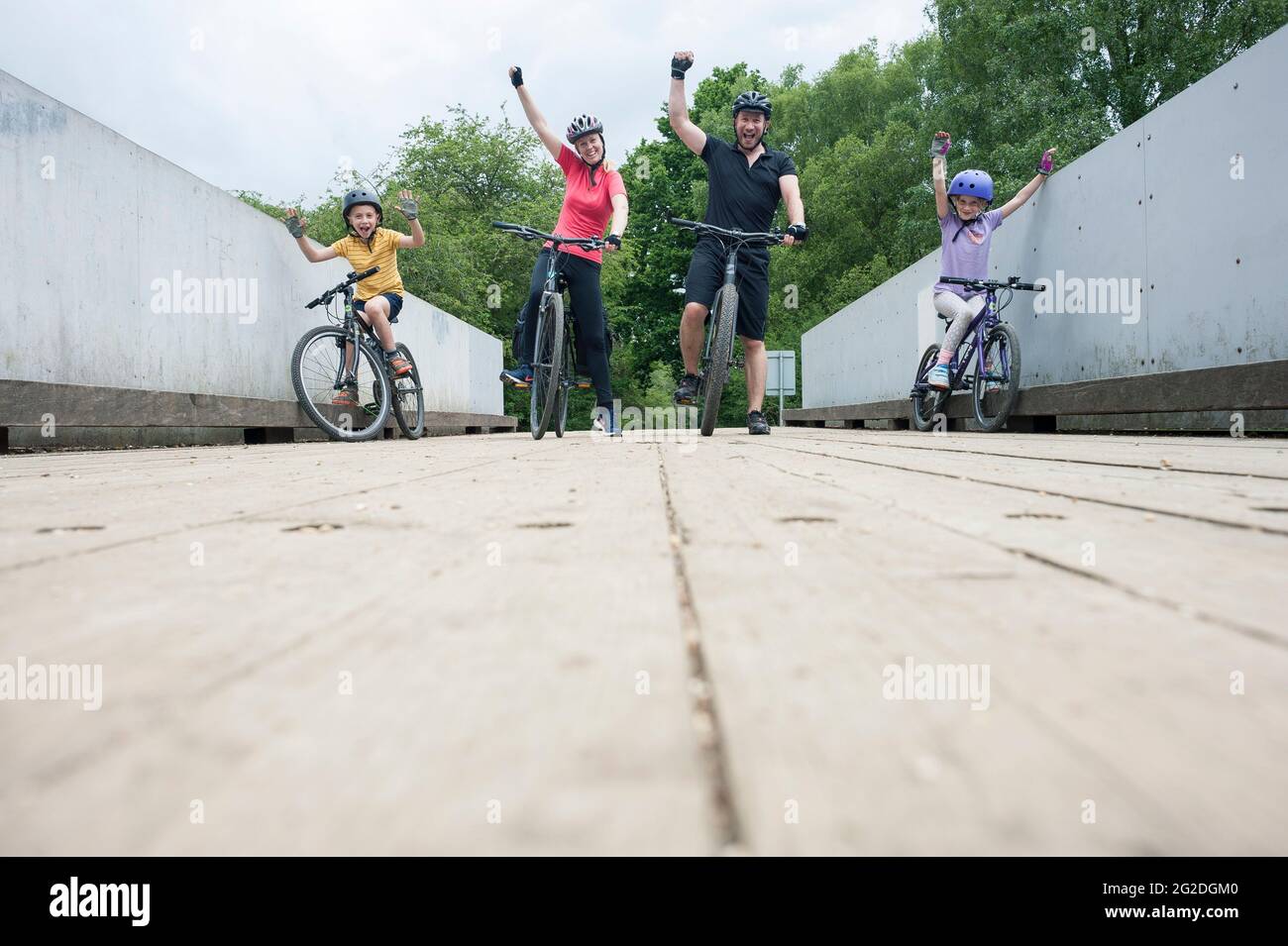 Riding a bike through the New Forest on cycle paths past stacks of ...