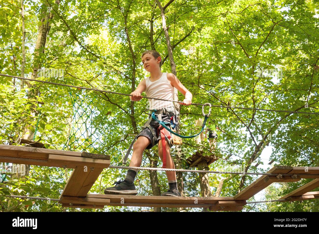 A person enjoying the fun of a nature park with rope swings, ladders ...
