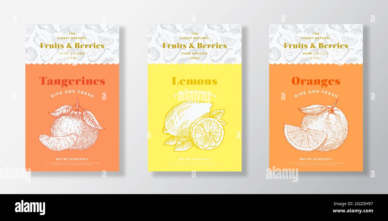 Citrus Fruits Pattern Label Templates Set. Vector Packaging Design ...