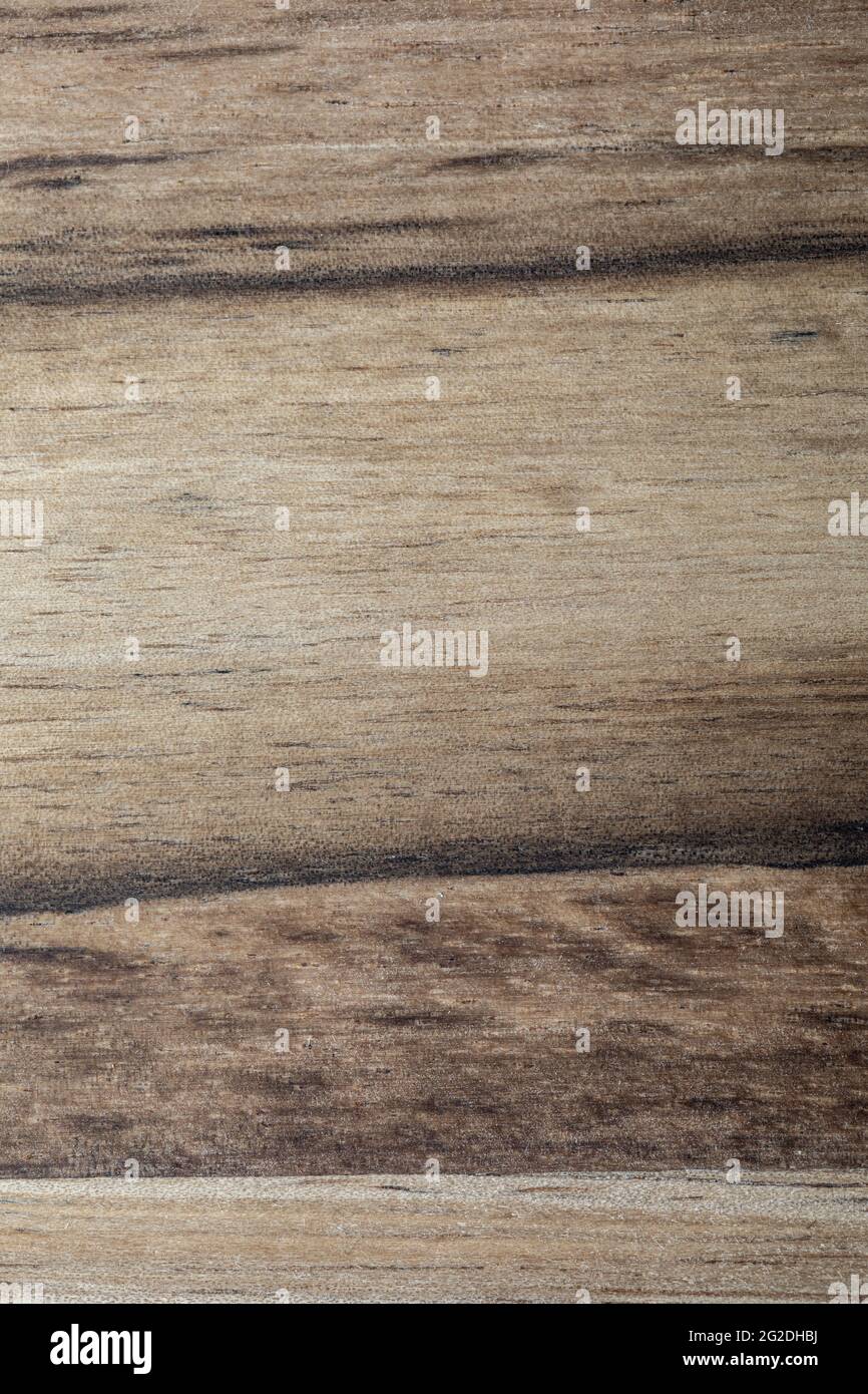 Acacia wood texture close-up. Rustic look with veins, knots and copy ...