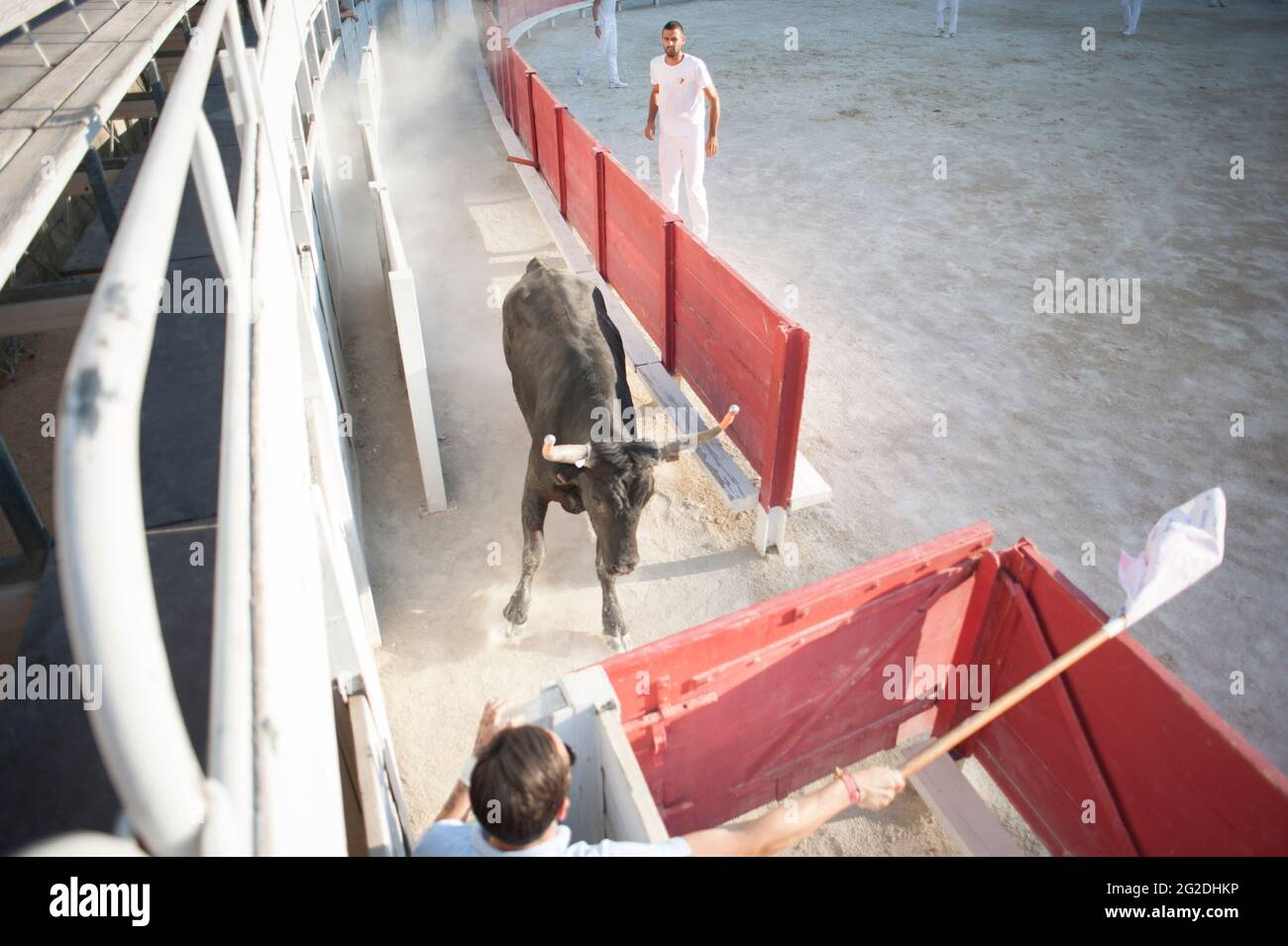 Images from the roman arena / amphitheatre in Arles of the bull ...