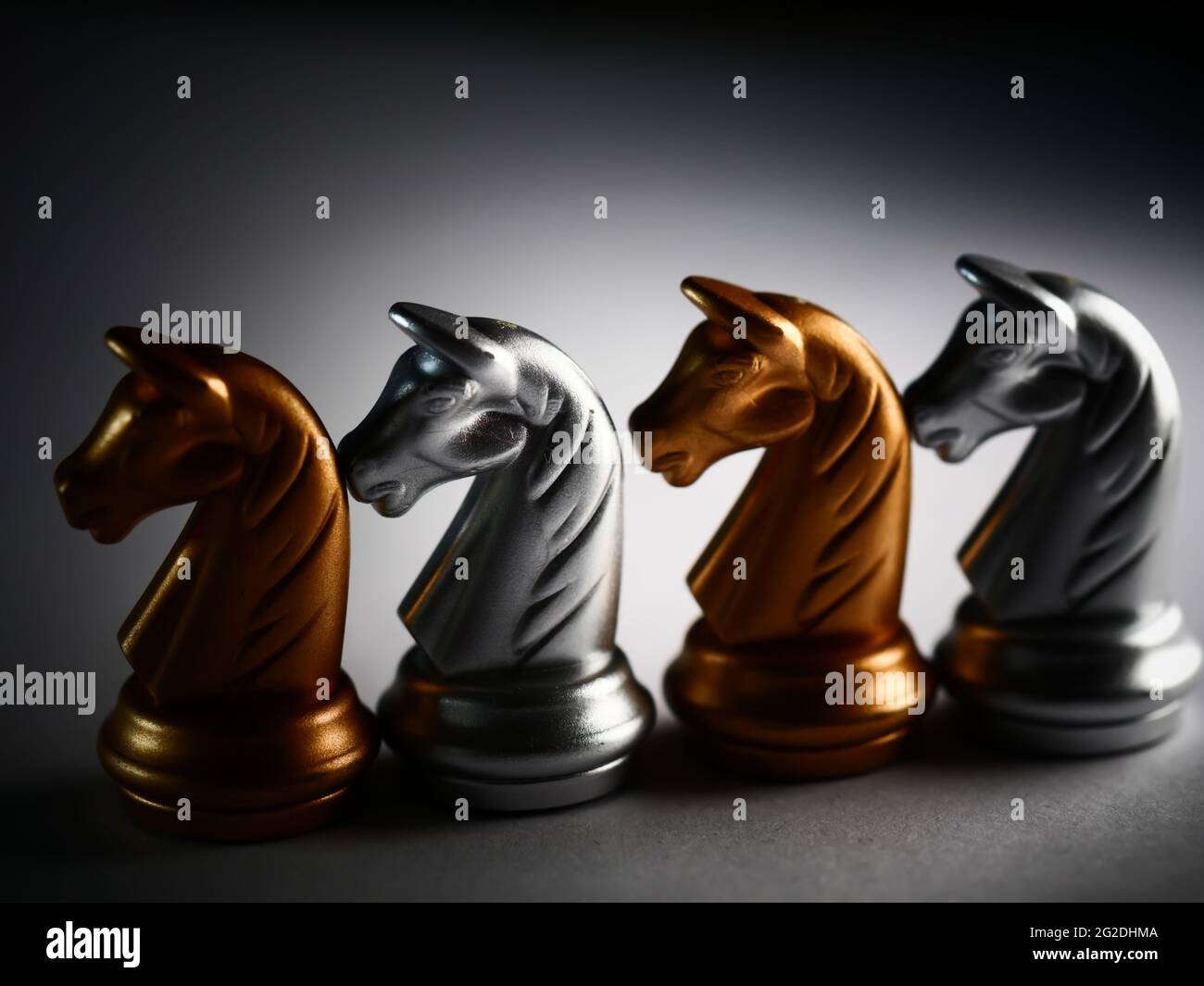 Closeup shot of silver and golden knight chess pieces Stock Photo - Alamy