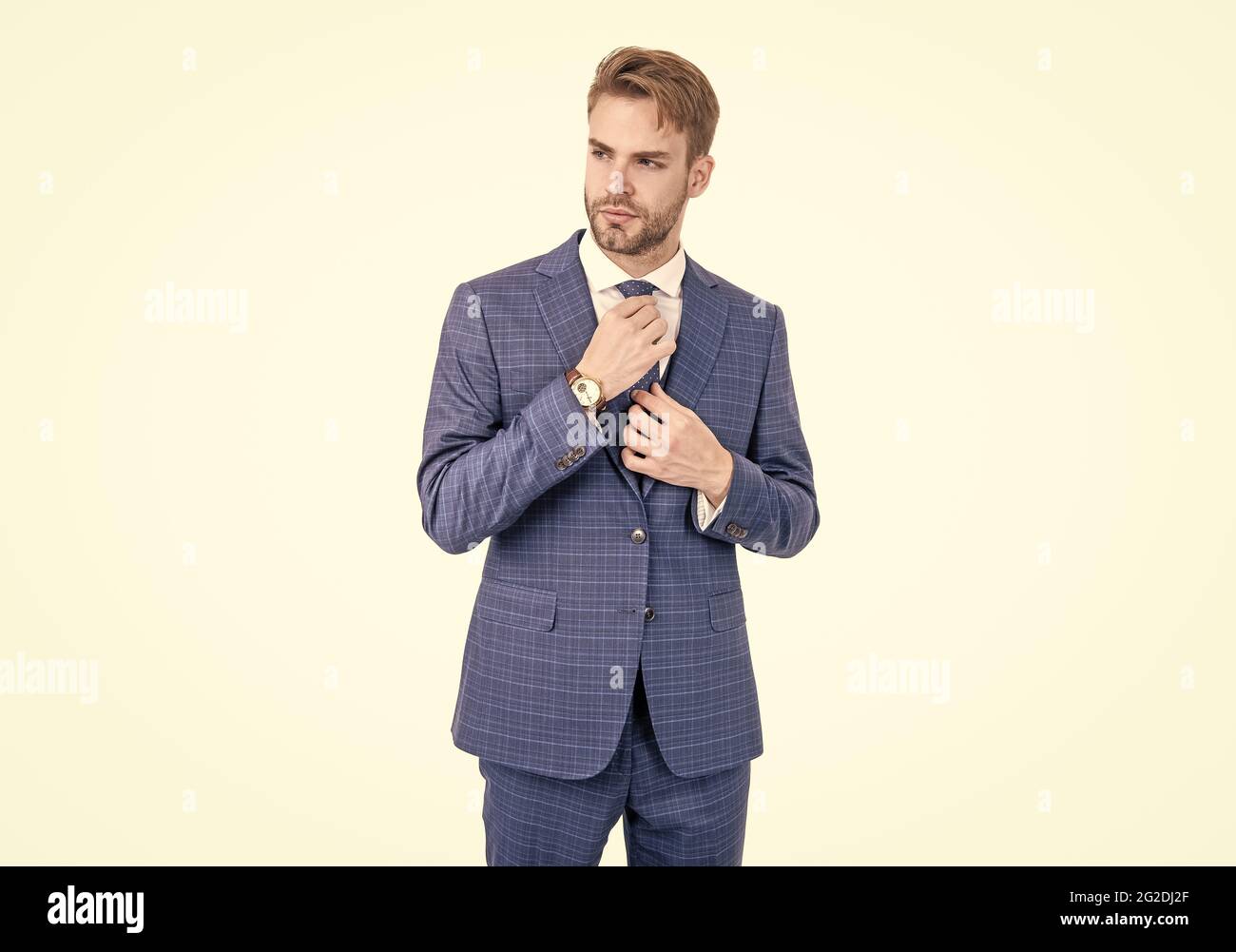 Handsome professional wear classic blue suit and tie formalwear ...