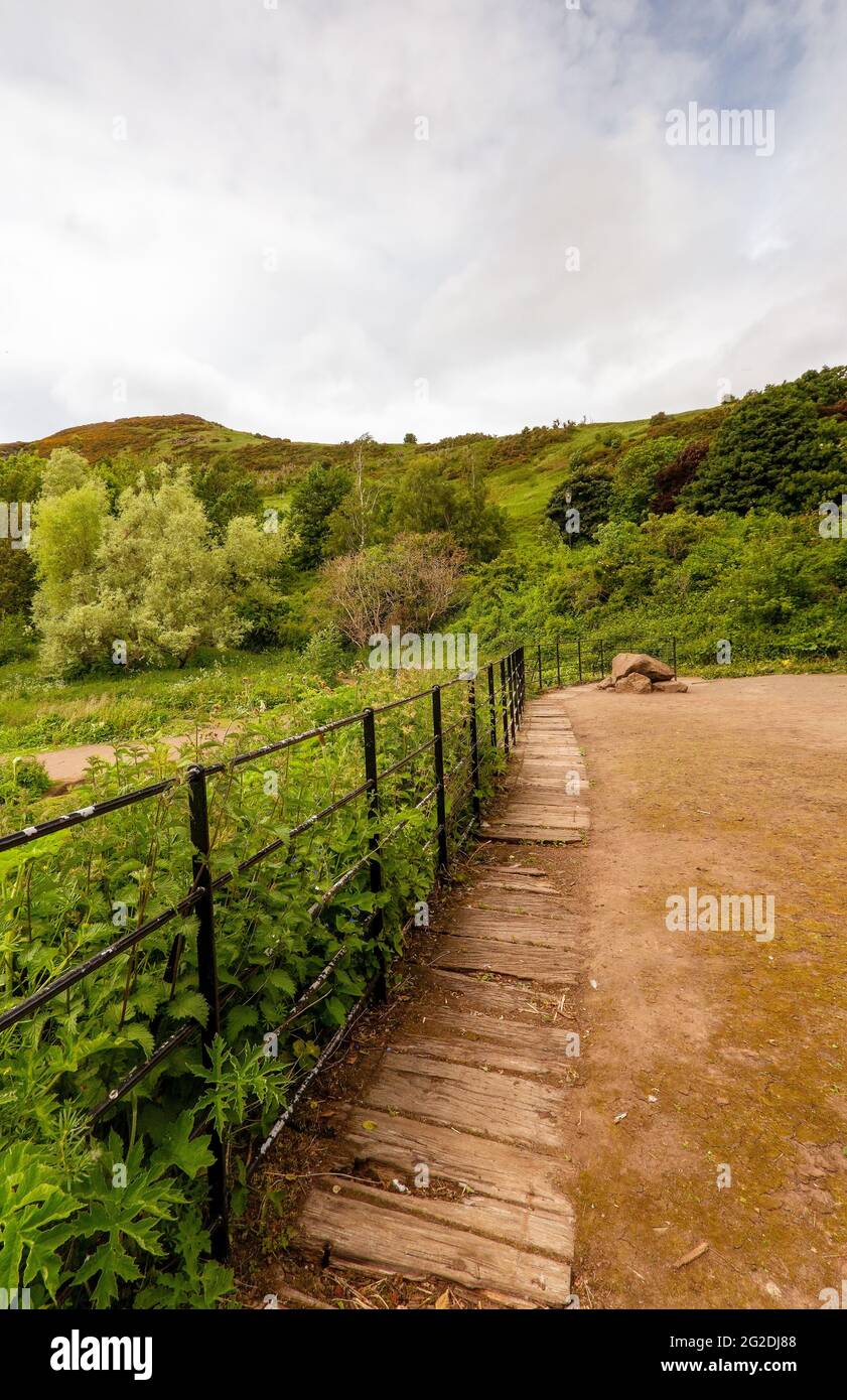 Duddingston Loch is a nature reserve for wildlife with views to Arthur ...