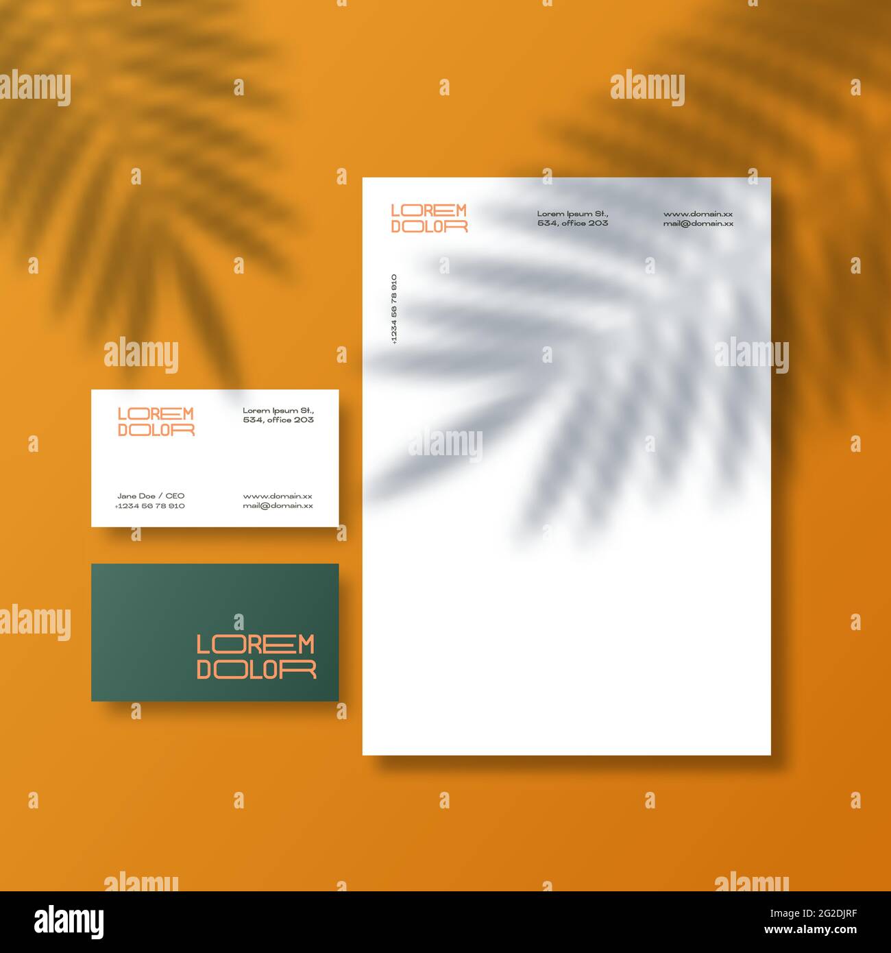 Business Cards and Letterhead Background with a Palm Leaves Shadow ...