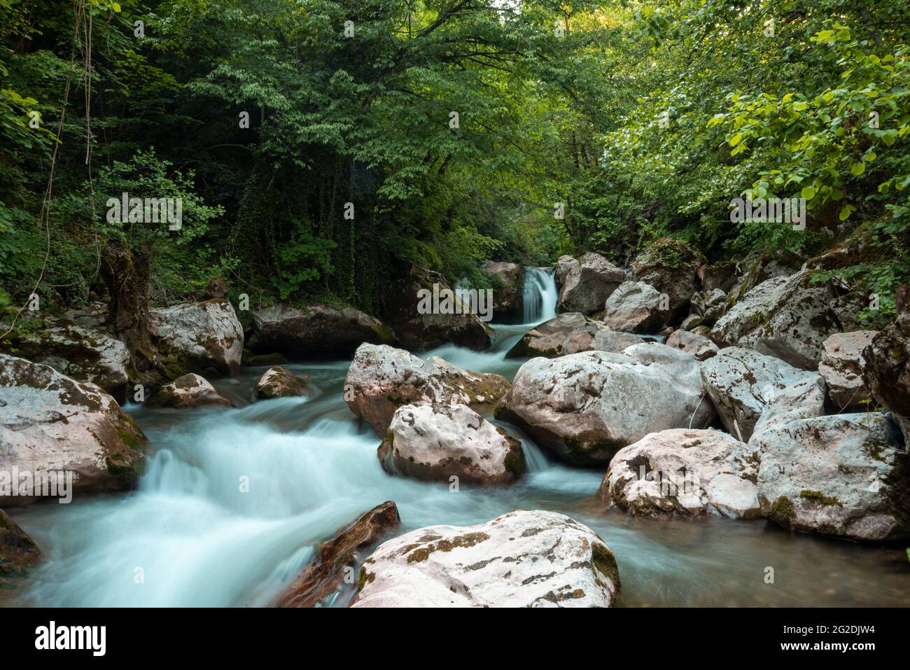 beautiful water oasis with clean water streams and rocks hidden in the ...