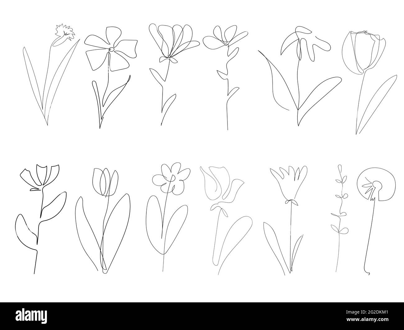 vector single one line drawn set of flowers. flower handdrawing outline ...