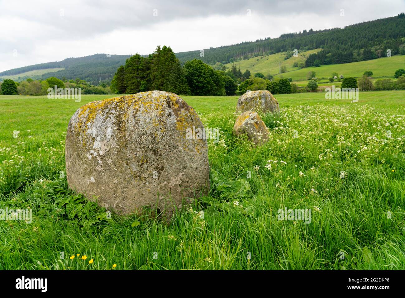 Stone circles hi-res stock photography and images - Alamy