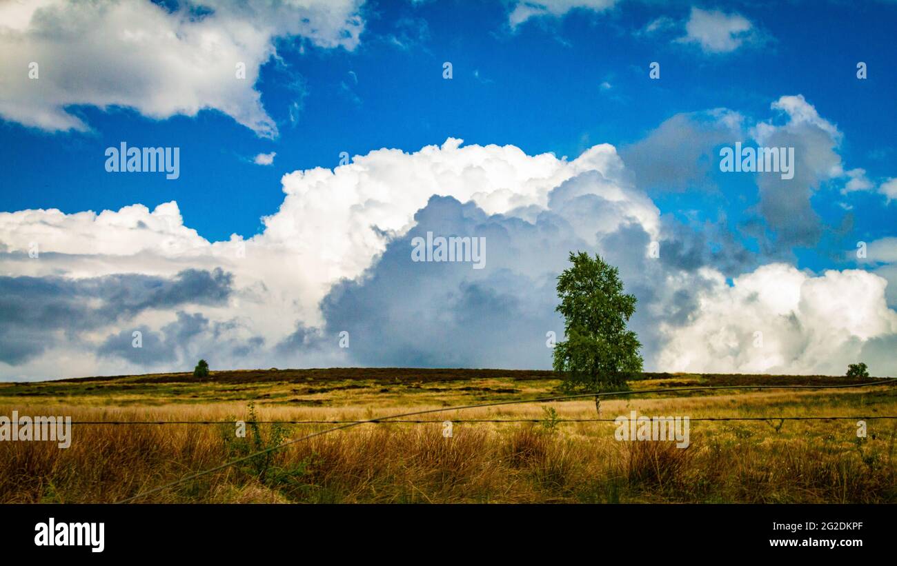 English field scene Stock Photo - Alamy