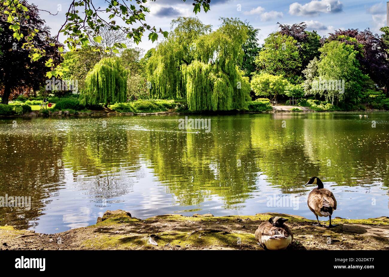 Walsall arboretum lakeside Stock Photo - Alamy