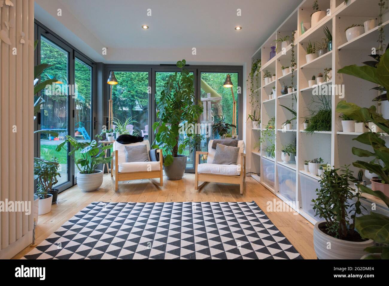 A plant room in a family home, with lots of plants on the shelves Stock ...