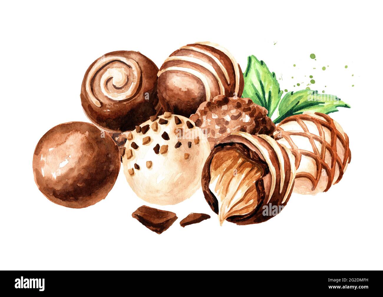 Chocolate candy, truffle with soft caramel praline filling, Hand drawn ...