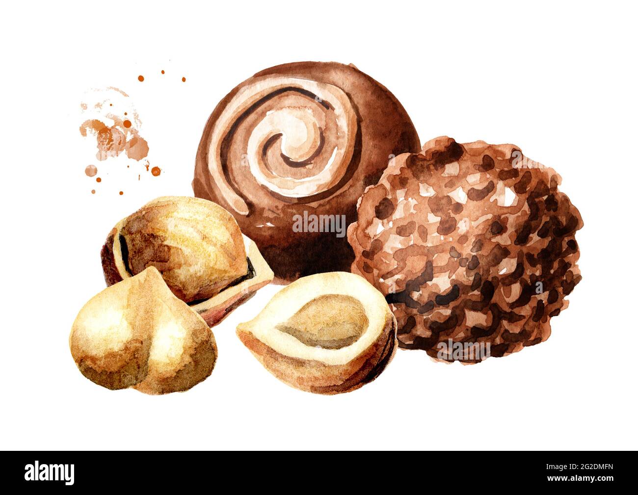 Chocolate candy truffle with Hazelnut. Hand drawn watercolor ...