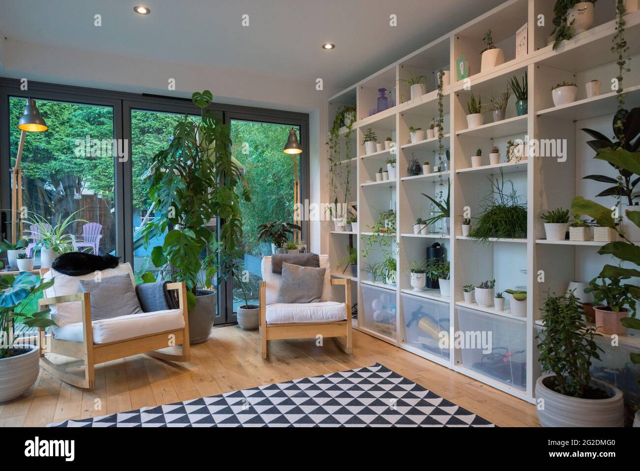 A plant room in a family home, with lots of plants on the shelves Stock ...