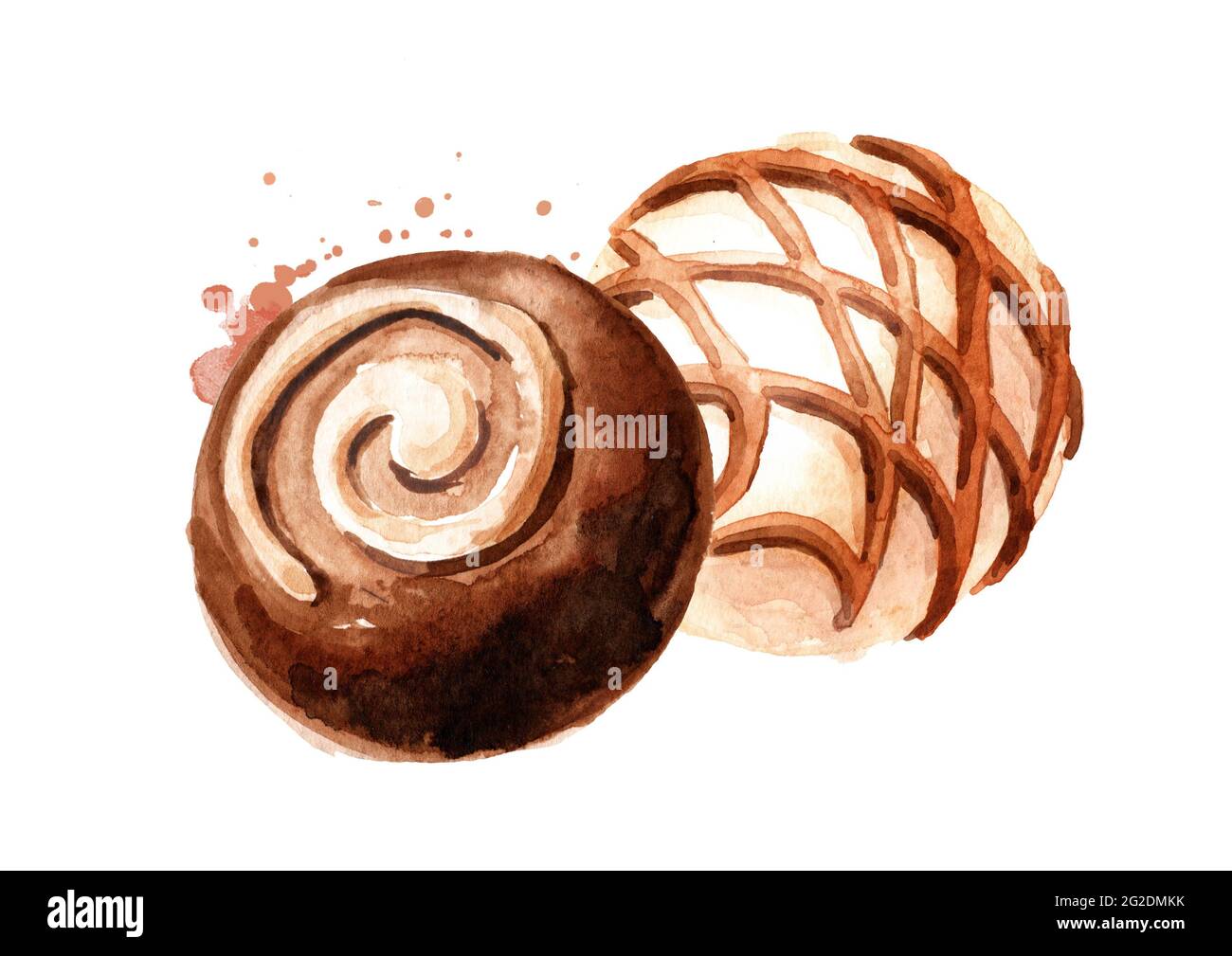 Chocolate truffle candy. Hand drawn watercolor illustration isolated on ...