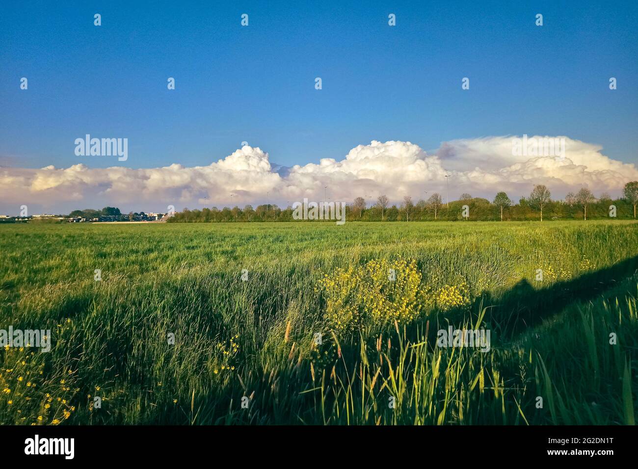 Cumulus clouds distance hi-res stock photography and images - Alamy
