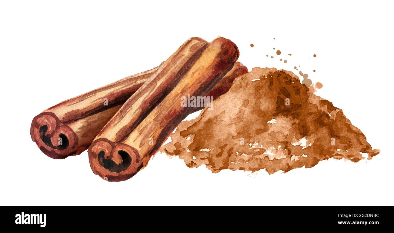Cinnamon sticks and powder. Hand drawn watercolor illustration ...